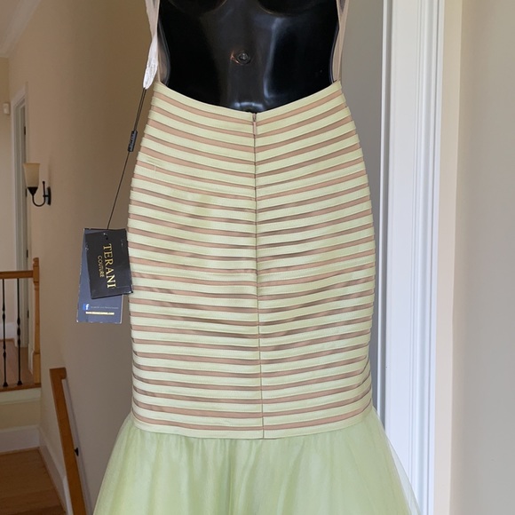 Terani Couture | Dresses | Terani Couture Sz 2 Celery Nude Gown Prom Pageant | Poshmark